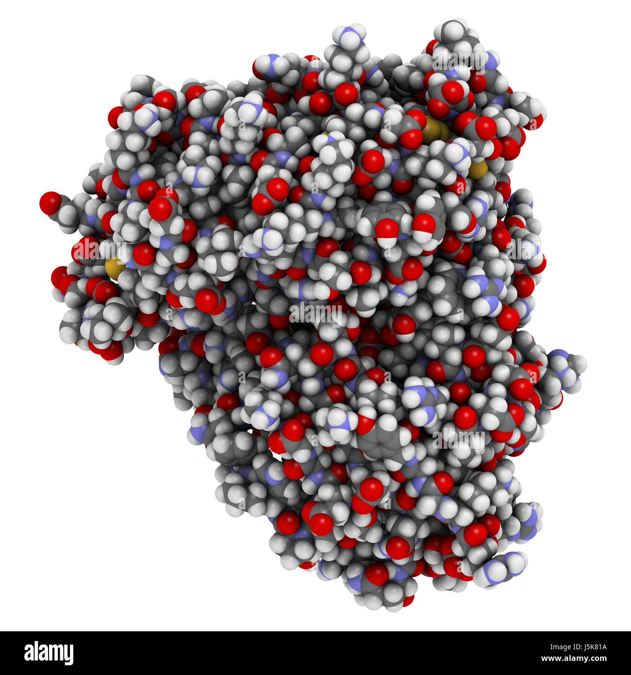 Beta-secretase 1 (BACE1, aspartyl protease domain). BACE inhibitors are ...