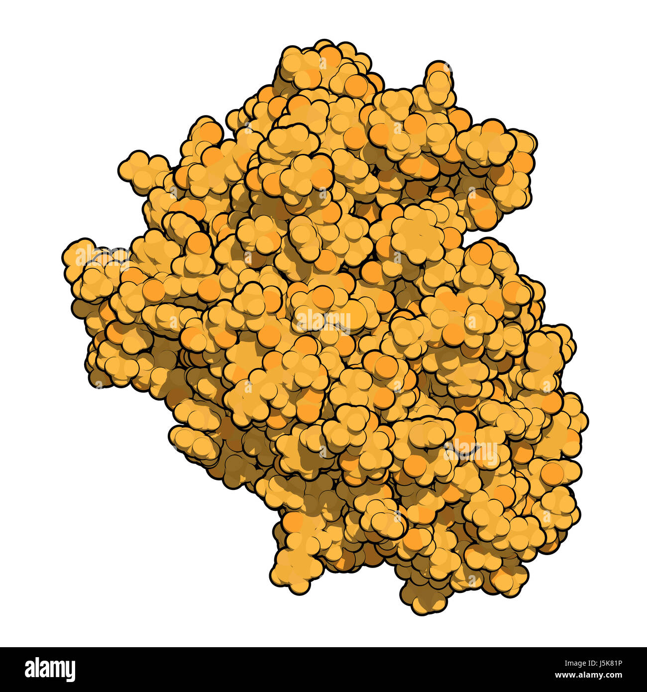 Beta-secretase 1 (BACE1, aspartyl protease domain). BACE inhibitors are ...