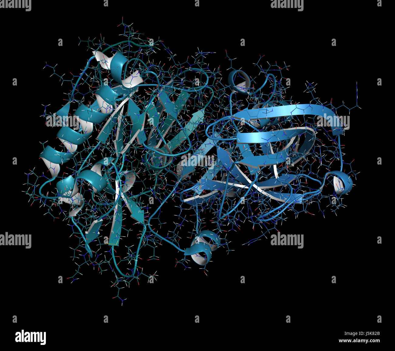 Membrane associated aspartic protease hi-res stock photography and ...