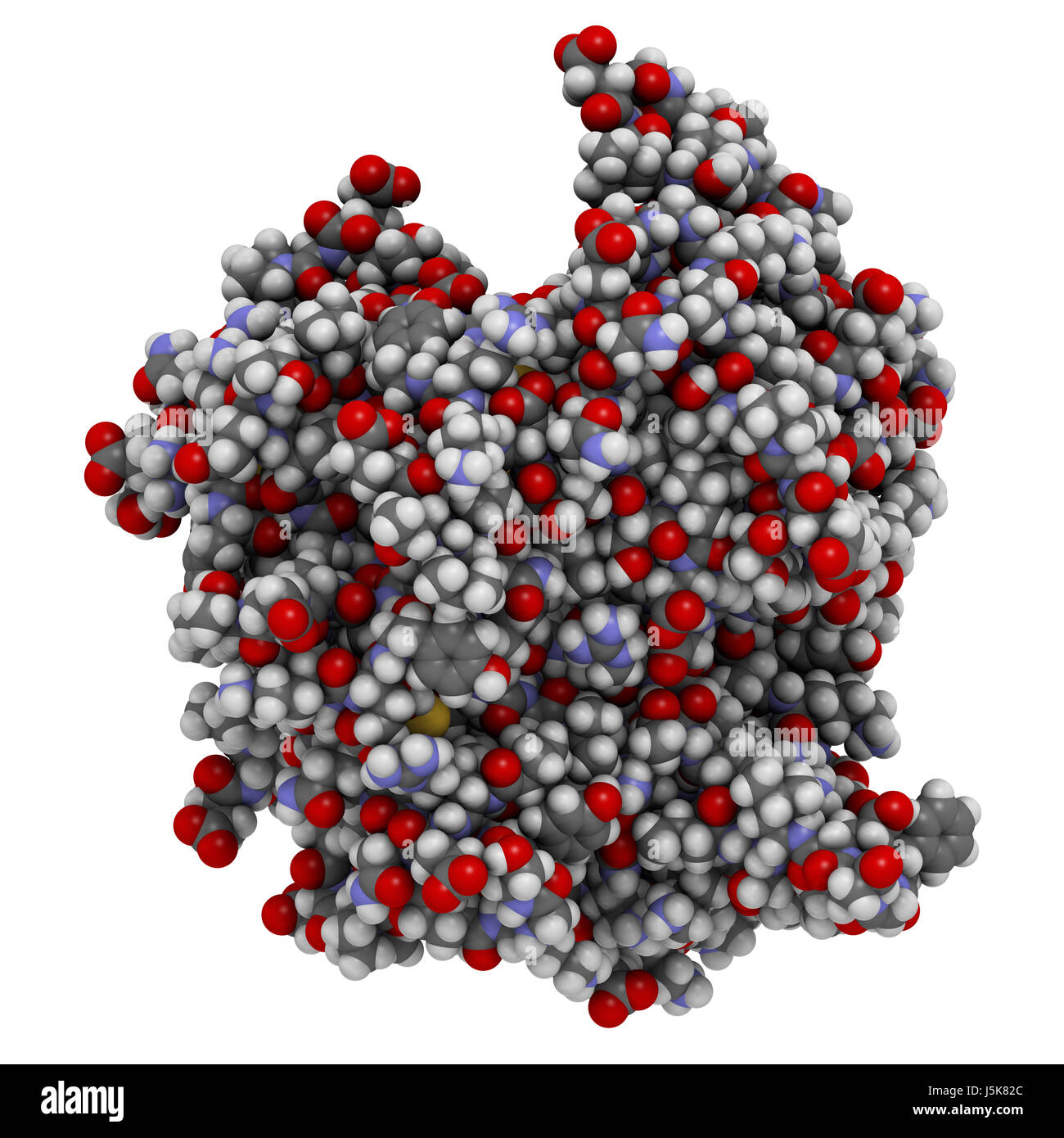B-cell activating factor (BAFF, extracellular domain fragment) protein ...