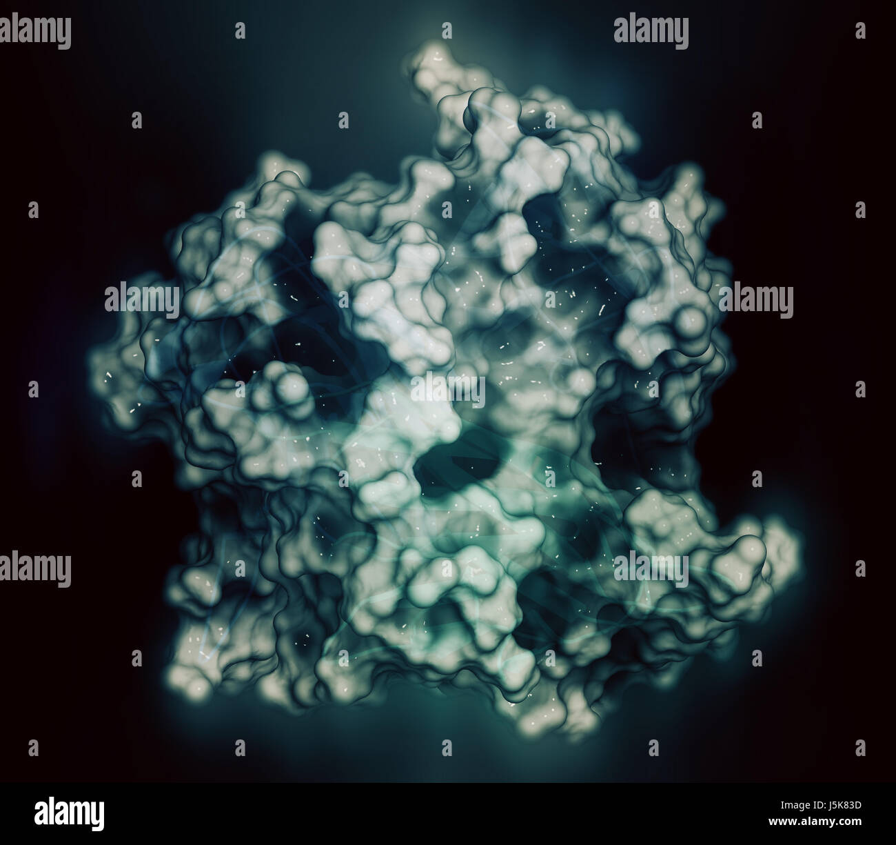 B-cell activating factor (BAFF, extracellular domain fragment) protein ...