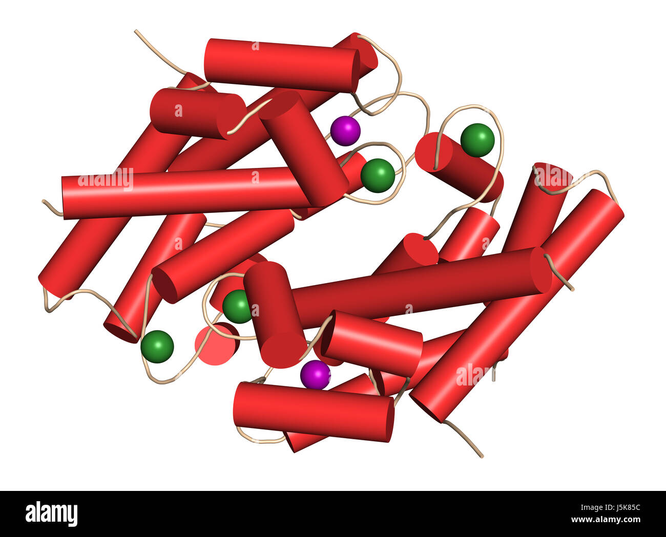 Faecal calprotectin hi-res stock photography and images - Alamy