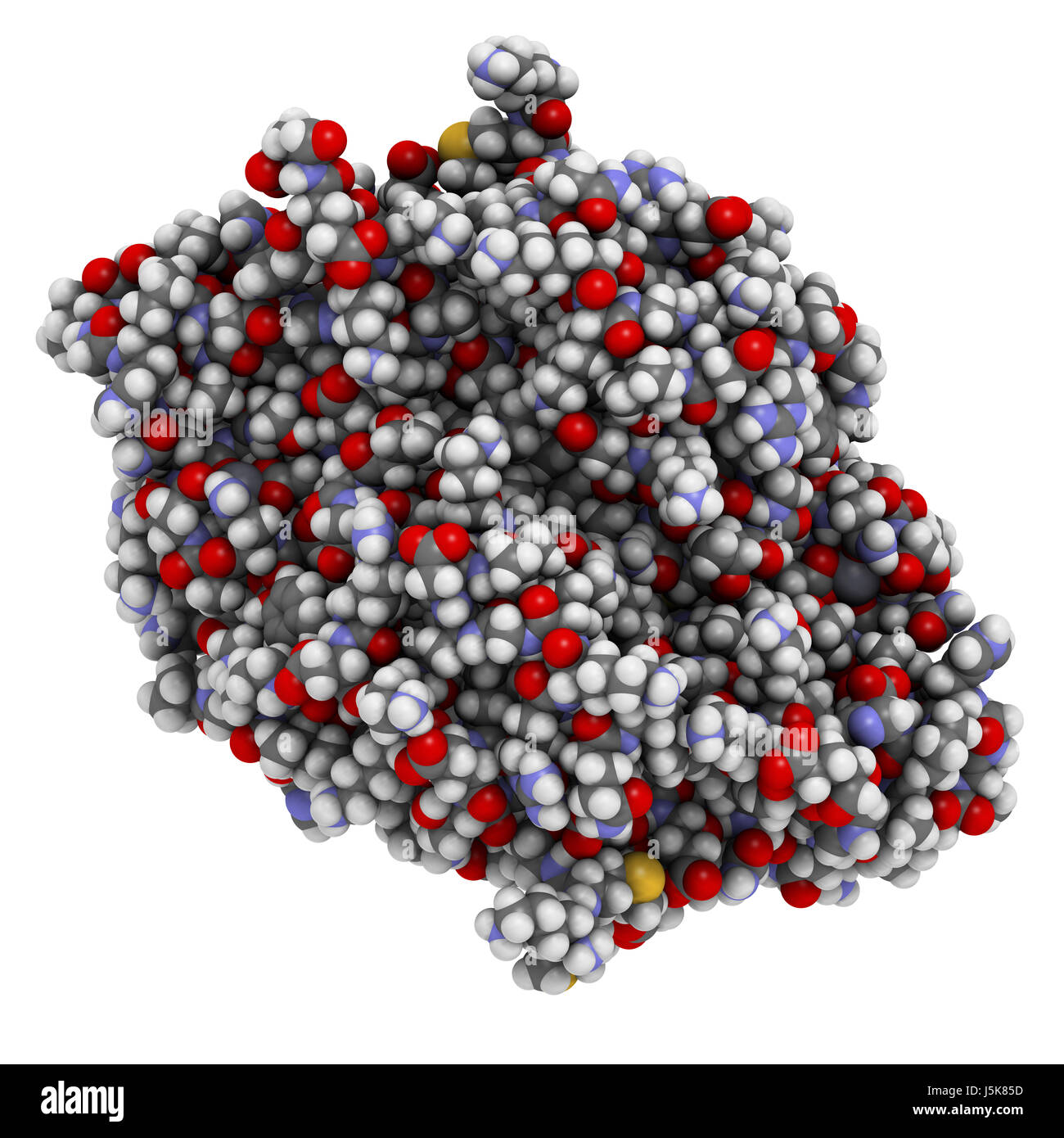 Faecal calprotectin hi-res stock photography and images - Alamy