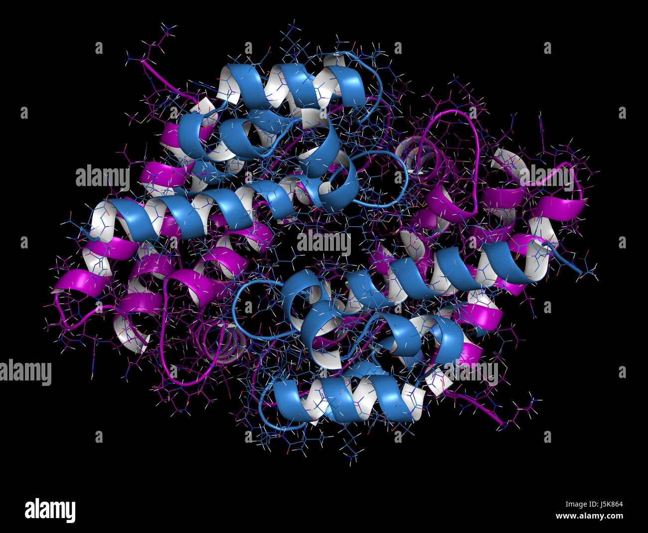 Calprotectin protein. Antimicrobial protein that is capable of ...