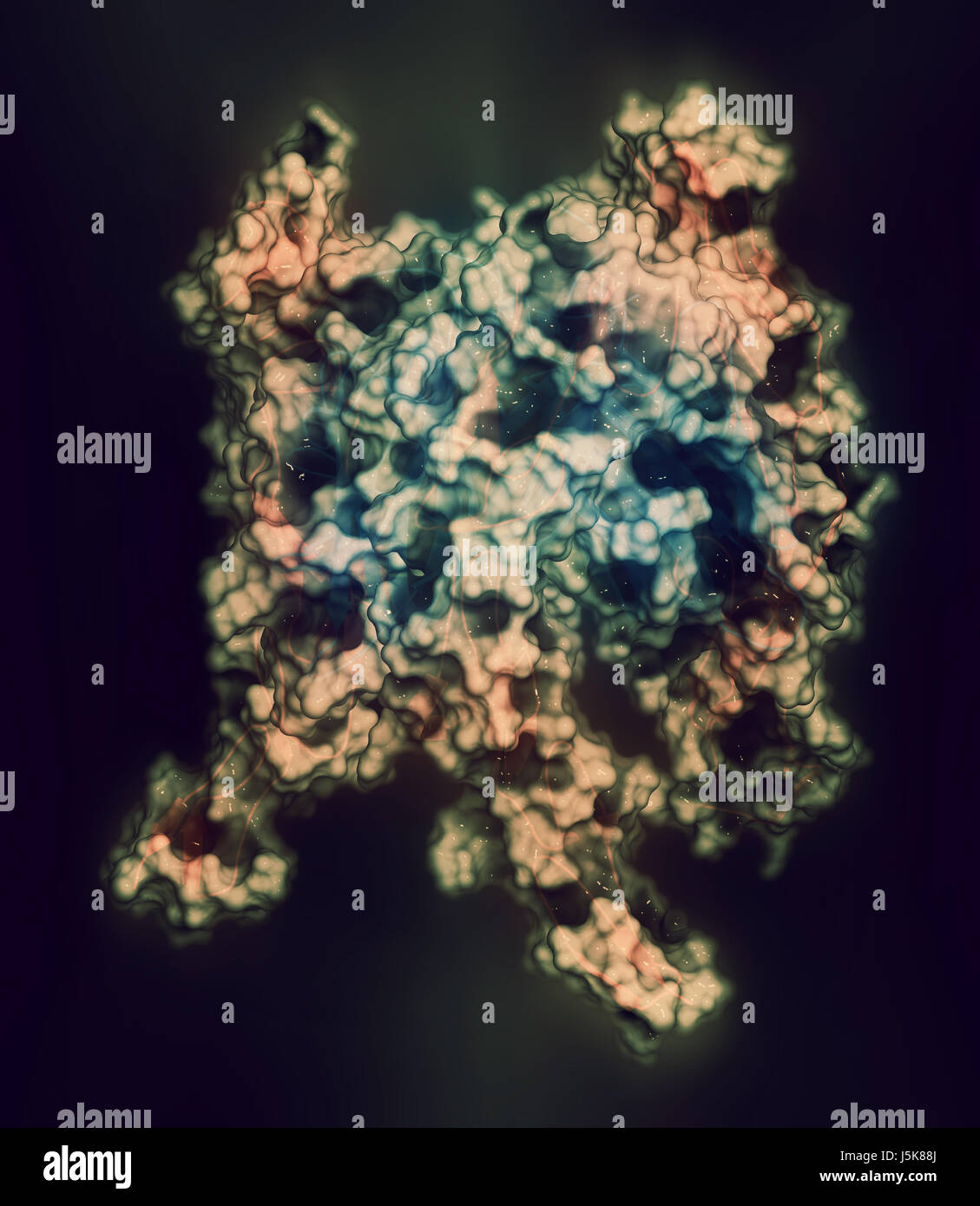 OX40-OX40L complex (extracellular domains). OX40 is also known as tumor ...