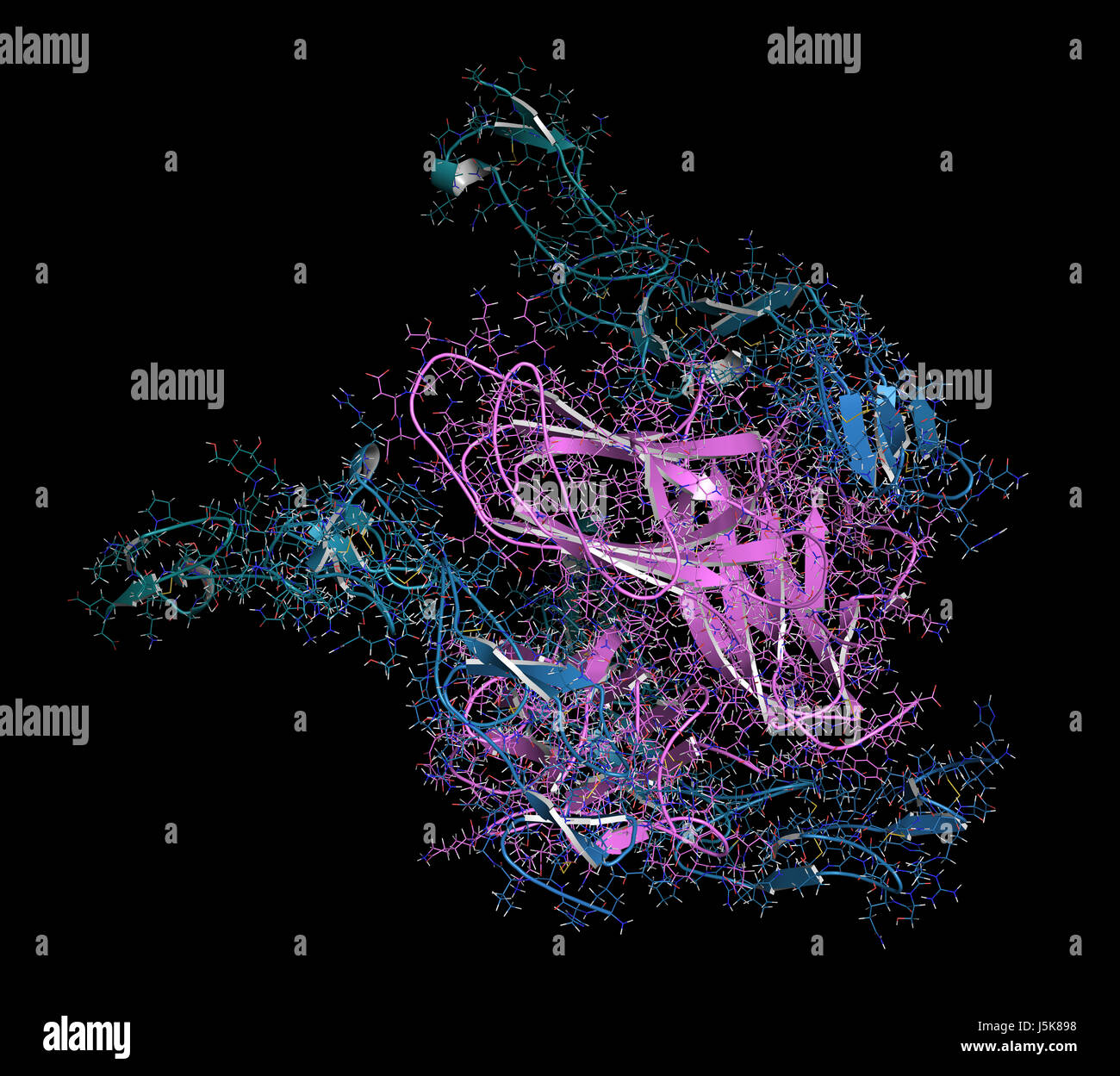 OX40-OX40L complex (extracellular domains). OX40 is also known as tumor ...