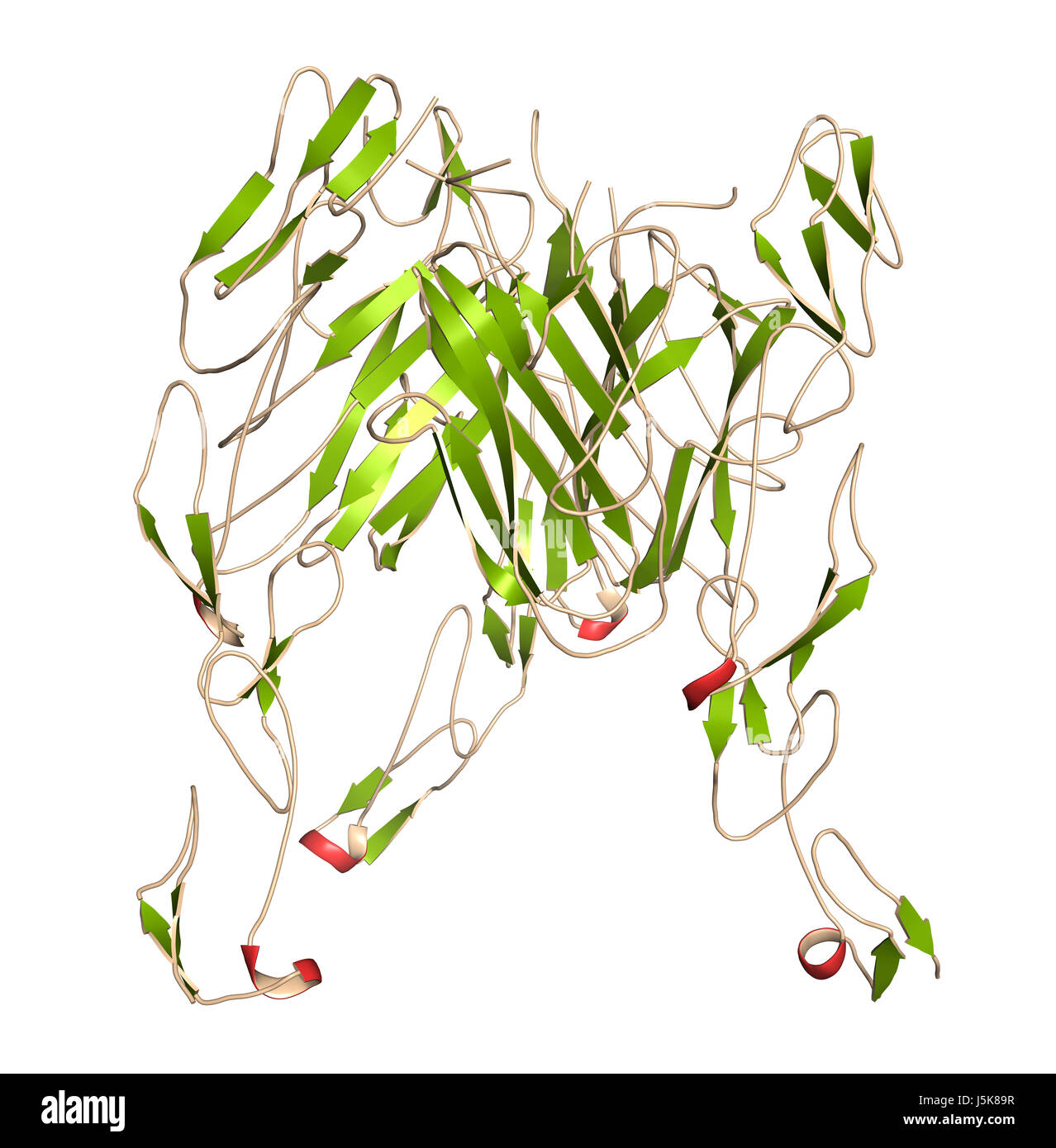 T cell receptor structure hi-res stock photography and images - Alamy