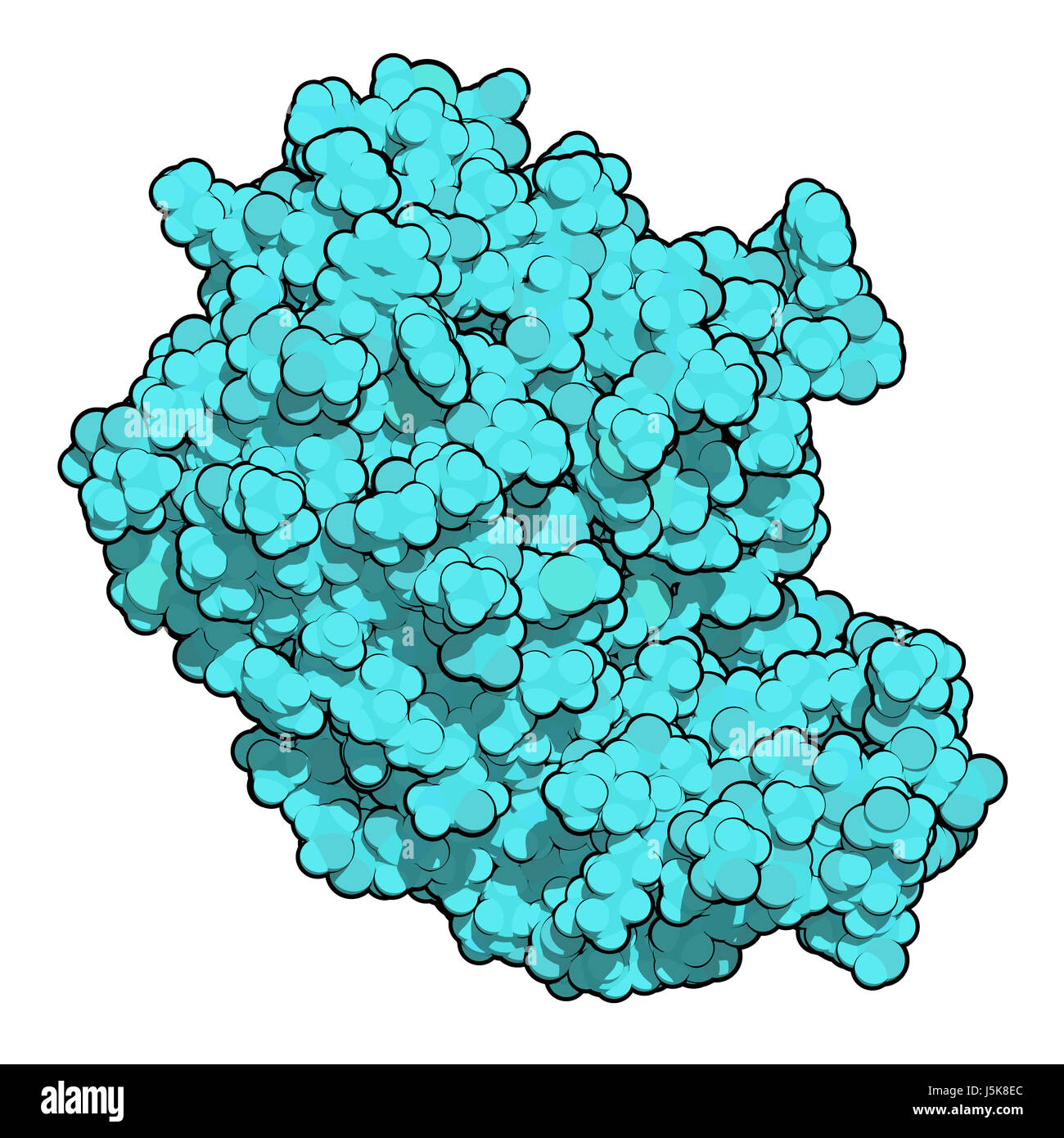 B-lymphocyte antigen CD20 (theoretical model). Protein expressed on the ...