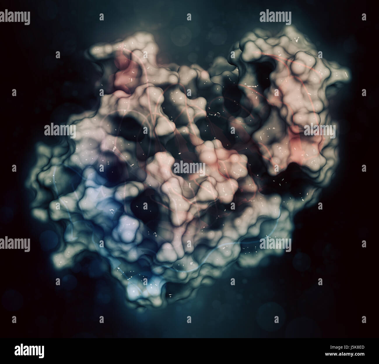 B-lymphocyte antigen CD20 (theoretical model). Protein expressed on the ...