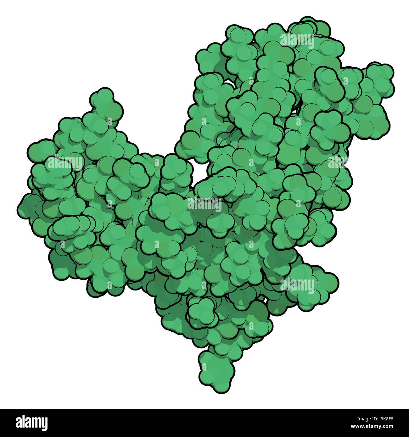 T cell receptor structure hi-res stock photography and images - Alamy