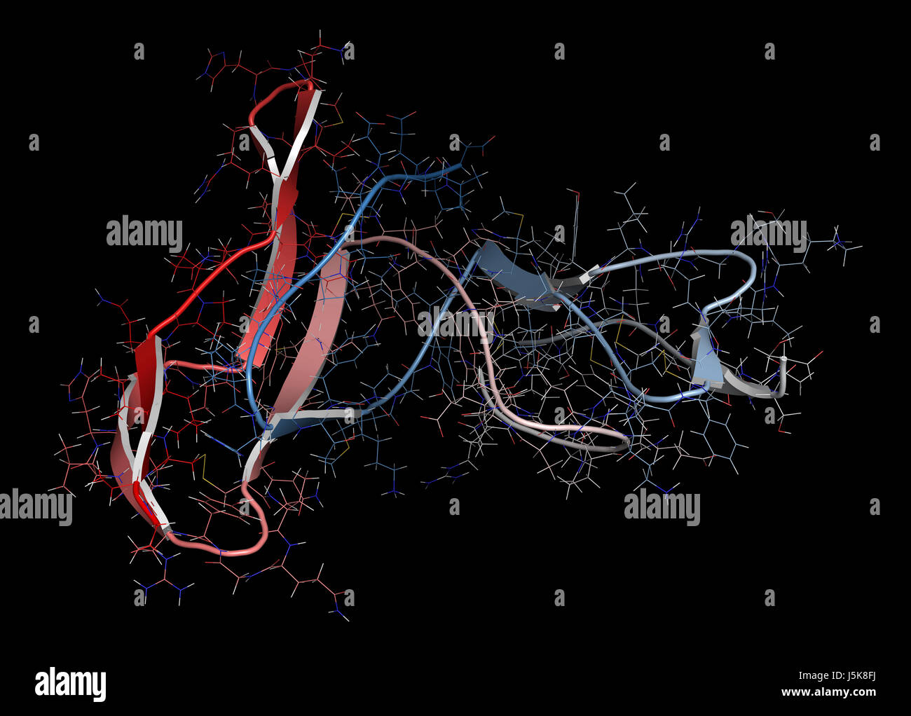 Interleukin-2 receptor alpha chain (CD25, extracellular domain). CD25 ...
