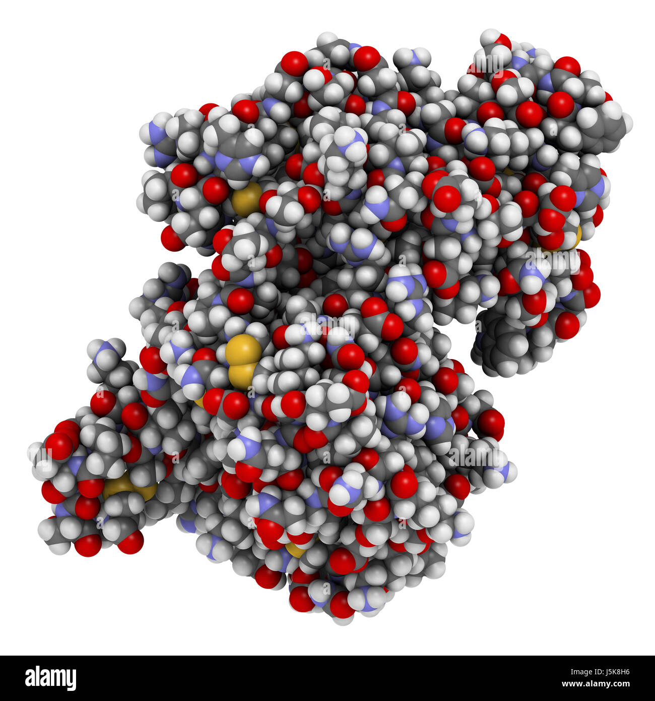 CD38 (ectodomain fragment) enzyme. Target of the monoclonal antibody ...