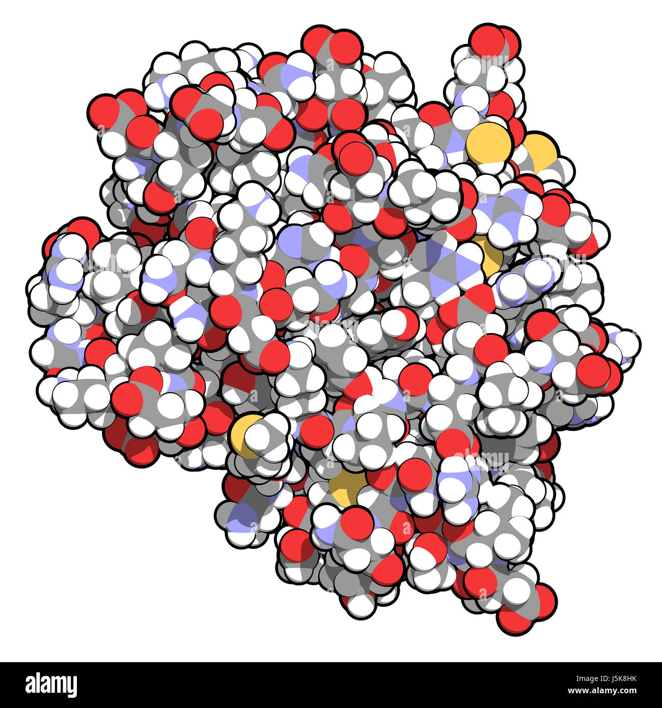 CD3 protein (epsilon/delta ectodomain dimer). CD3 is present on the ...