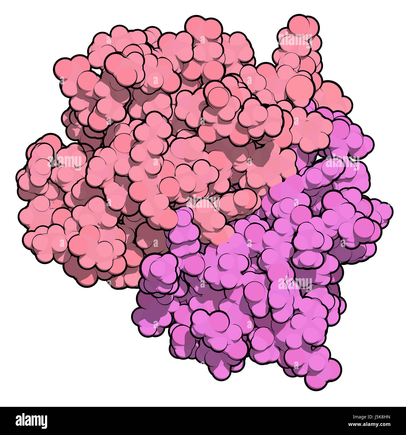 CD3 protein (epsilon/delta ectodomain dimer). CD3 is present on the ...