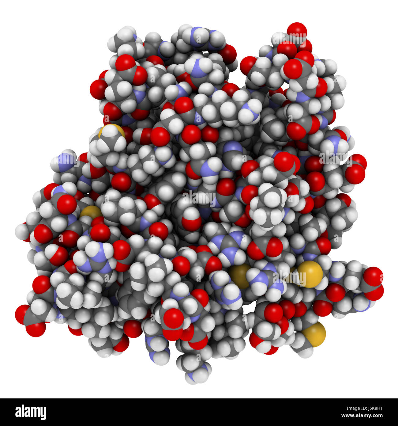 T lymphocytes hi-res stock photography and images - Alamy