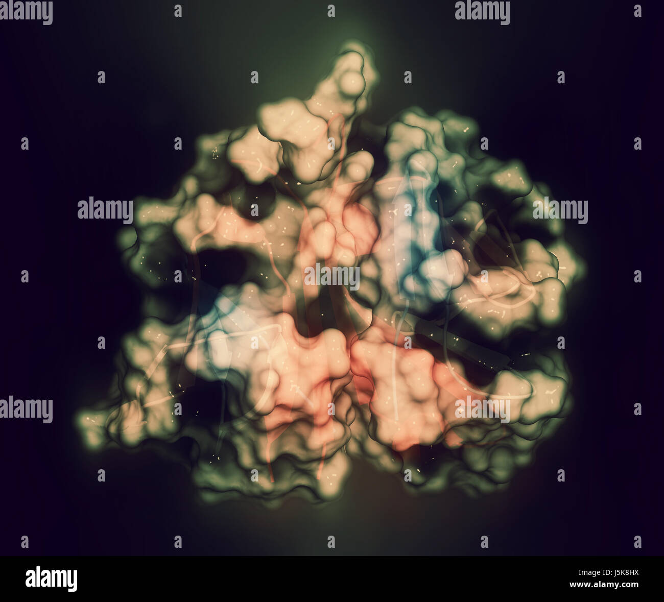 CD3 protein (epsilon/delta ectodomain dimer). CD3 is present on the ...