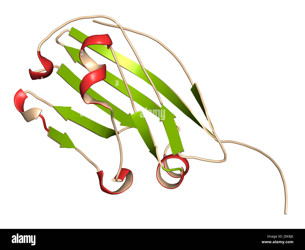 CD47 (integrin associated protein, extracellular domain) protein. Often ...