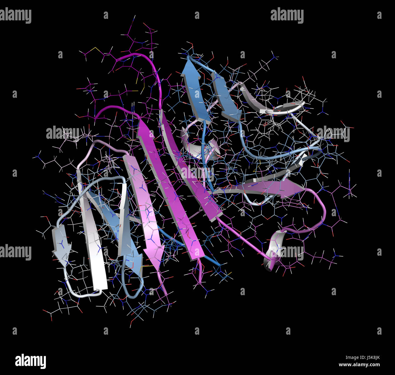 CD3 protein (epsilon/delta ectodomain dimer). CD3 is present on the ...