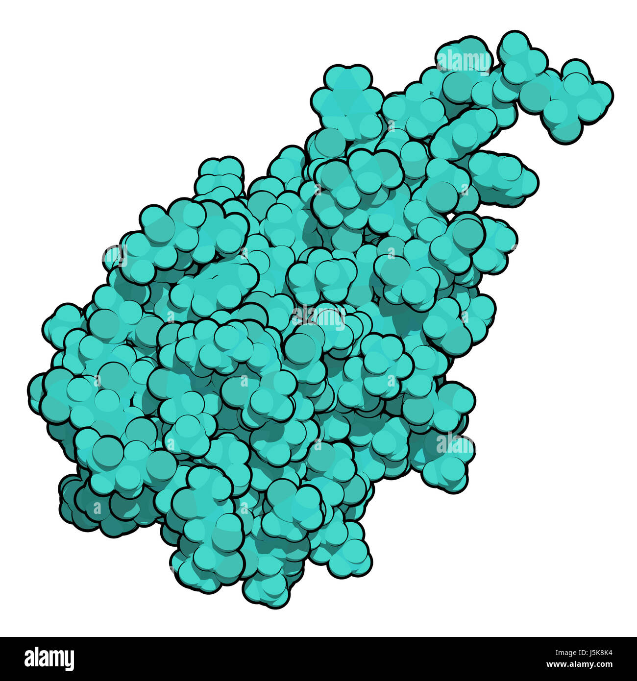 CD47 (integrin associated protein, extracellular domain) protein. Often ...