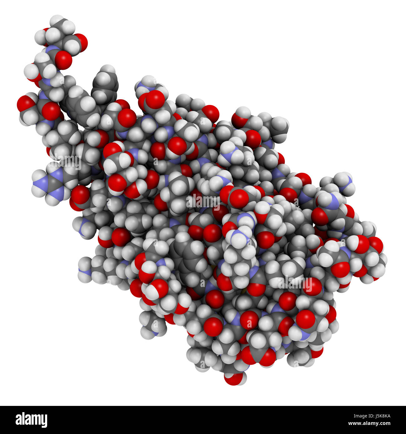 CD47 (integrin associated protein, extracellular domain) protein. Often ...