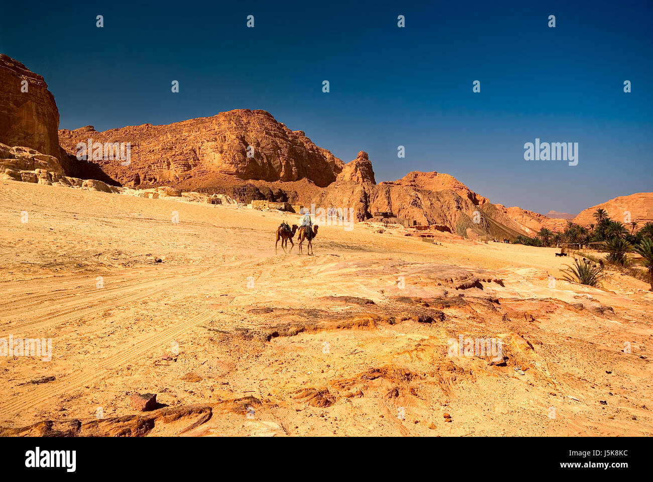 the oasis in sight Stock Photo - Alamy