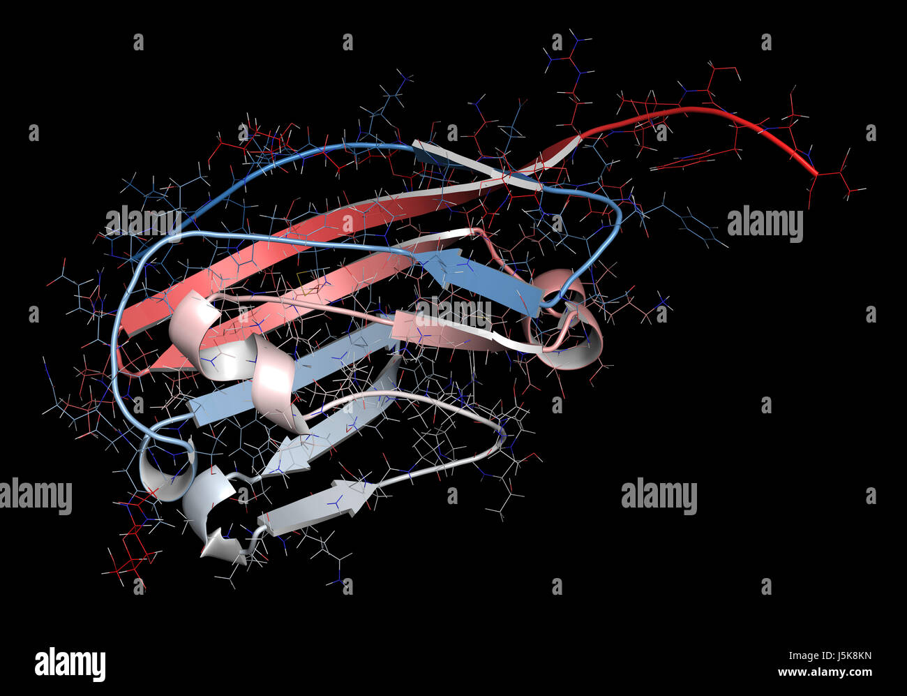 CD47 (integrin associated protein, extracellular domain) protein. Often ...
