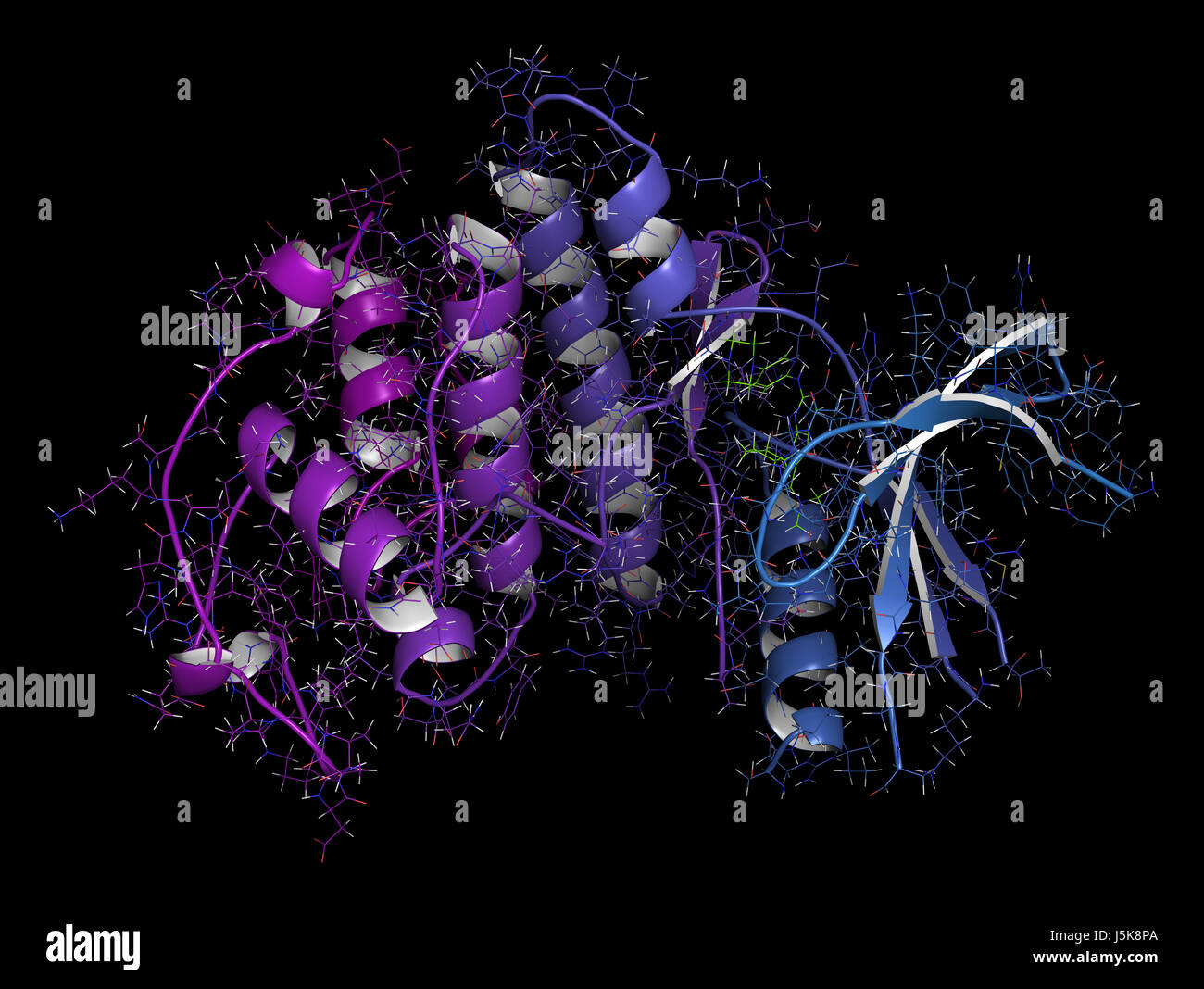 Cyclin-dependent kinase 6 (CDK6) bound to the inhibitor ribociclib ...