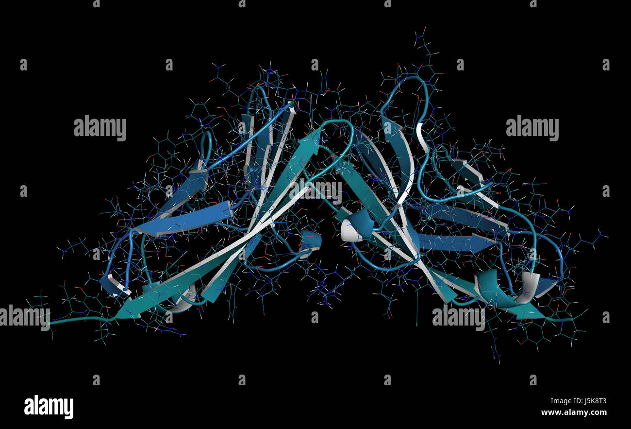 Carcinoembryonic antigen (CEA, CEACAM5, N-terminal domain). Used as ...