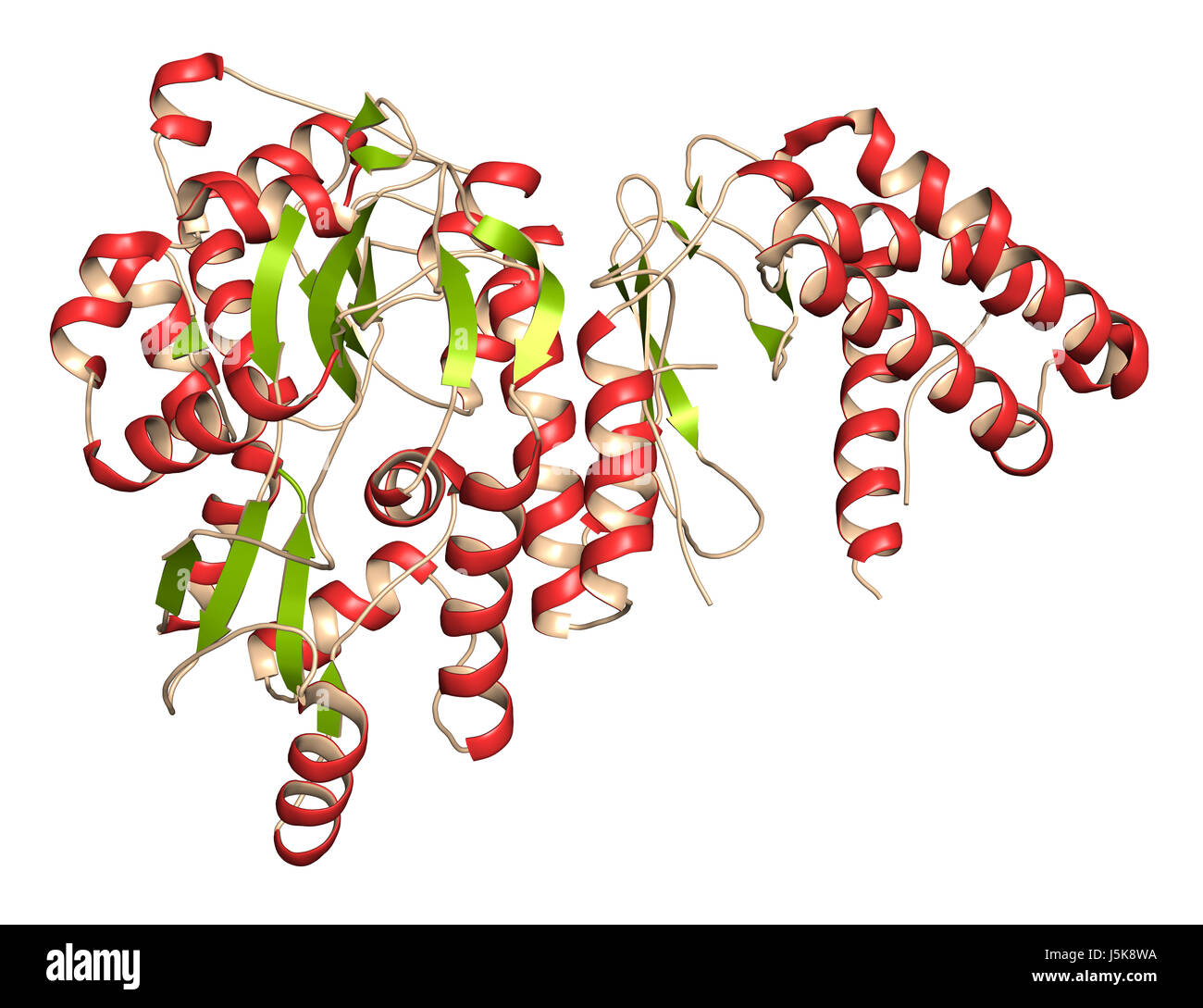 Calcitonin gene related peptide receptor hi-res stock photography and ... Calcitonin gene related peptide receptor hi-res stock photography and ...