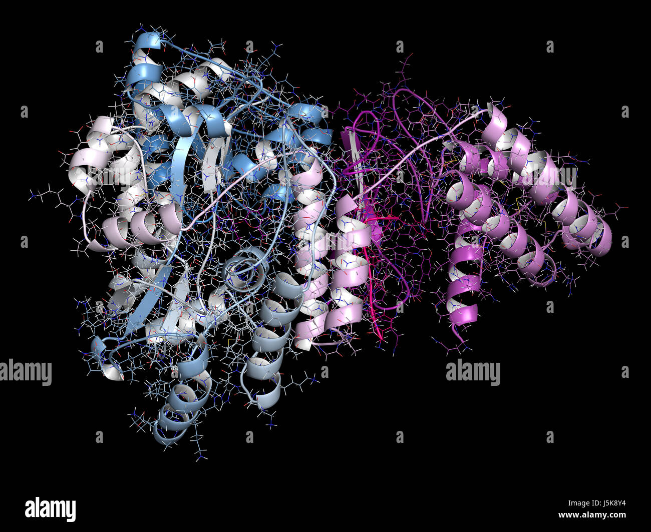 Cgrp molecule hi-res stock photography and images - Alamy