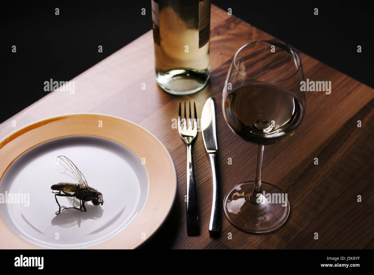 flies insects hunger wine fly plate emergency fork food dish meal gnat ...