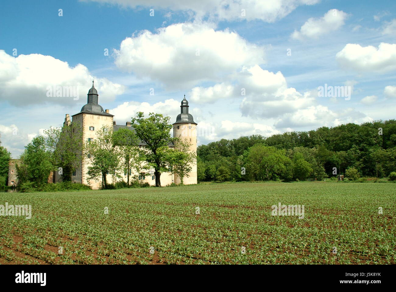 tree agriculture farming field spring towers acre corn manor-house corn ...
