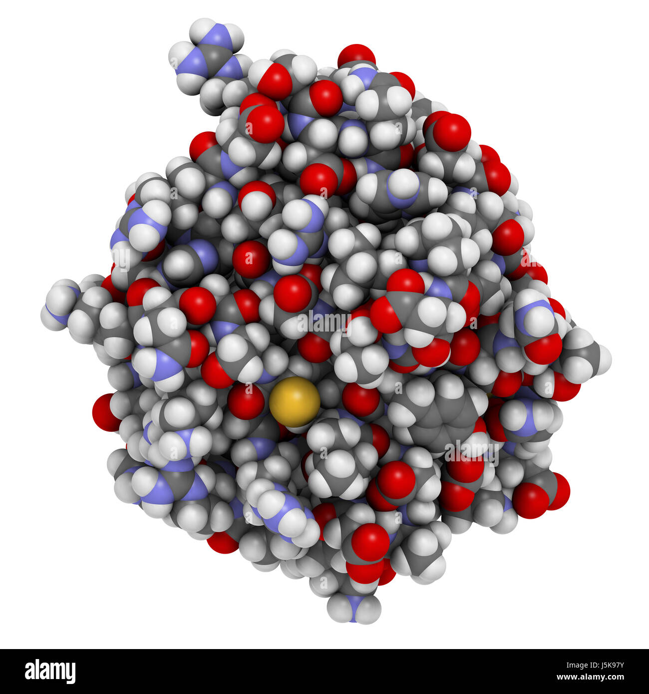 Fibroblast growth factor 1 (FGF1, heparin-binding growth factor 1 ...