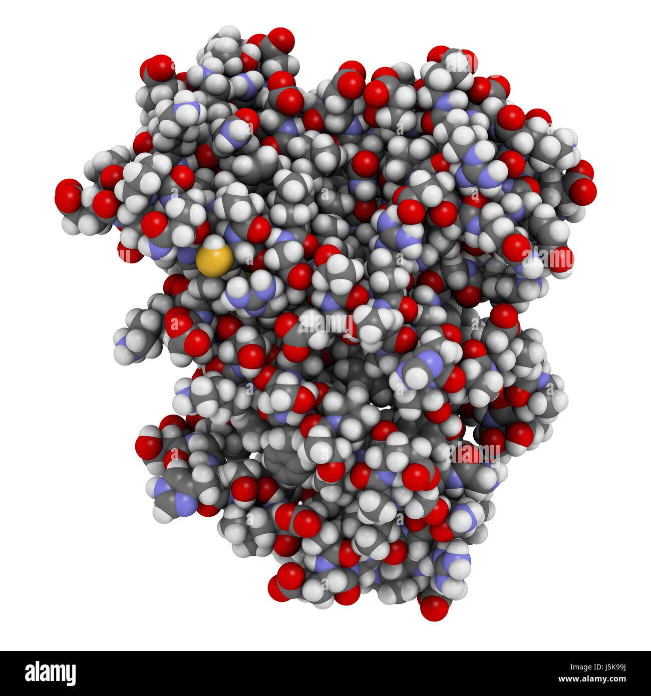 Ligand binding Cut Out Stock Images & Pictures - Alamy