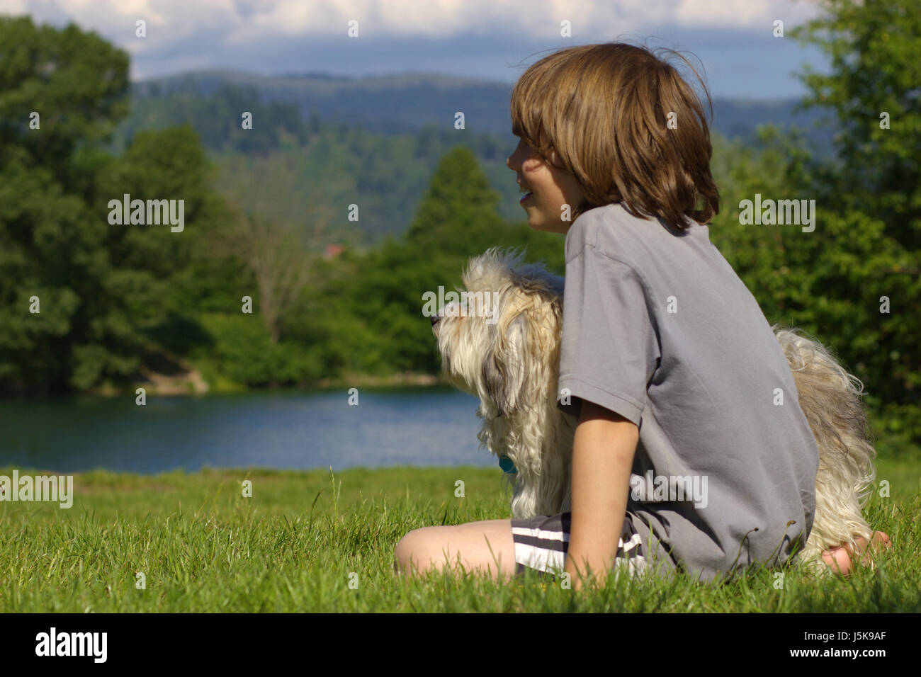 friendship animal pet mammal animals dog affection solidarity love of ...