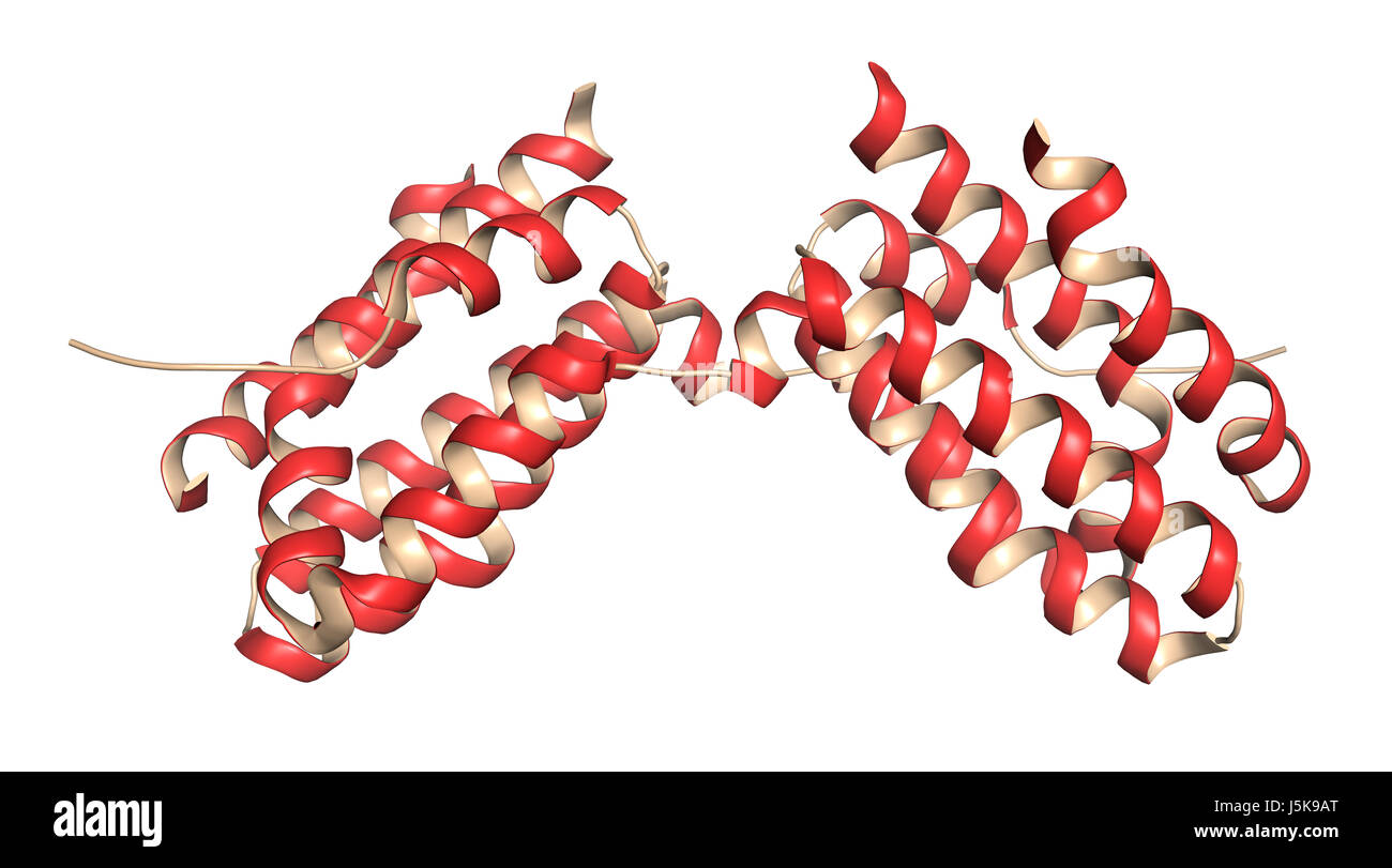 Interleukin 10 (IL-10) cytokine protein. Investigated in the treatment ...