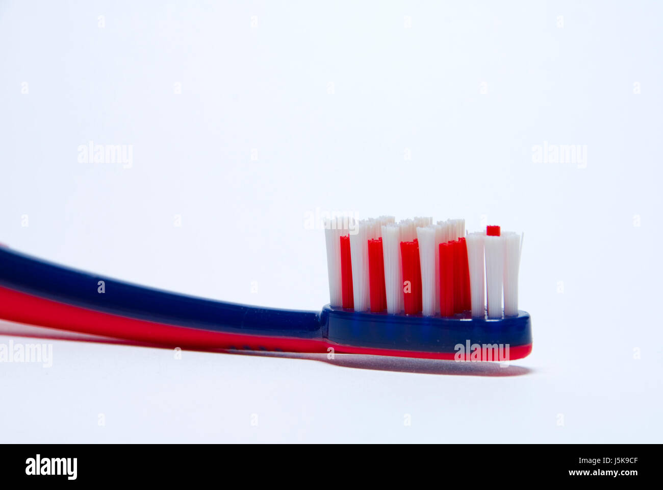 blue teeth cleanliness tooth hygiene toothbrush bristles personal care ...