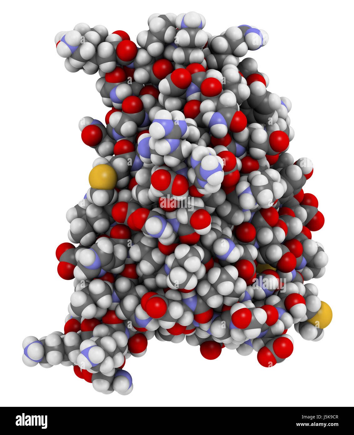 Interleukin 2 (IL-2) cytokine protein. Aldesleukin is a recombinant ...