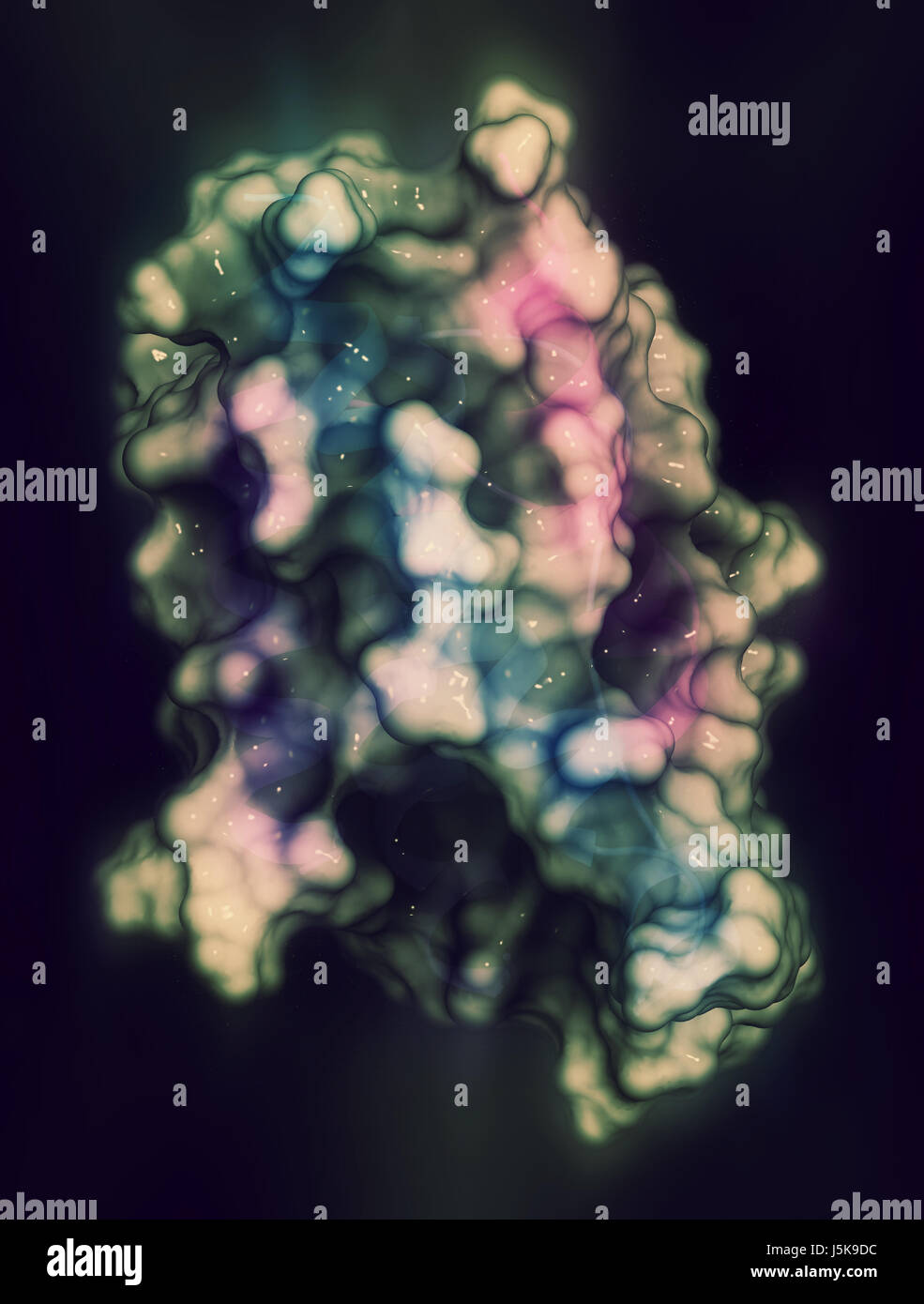 Interleukin 2 (IL-2) cytokine protein. Aldesleukin is a recombinant ...