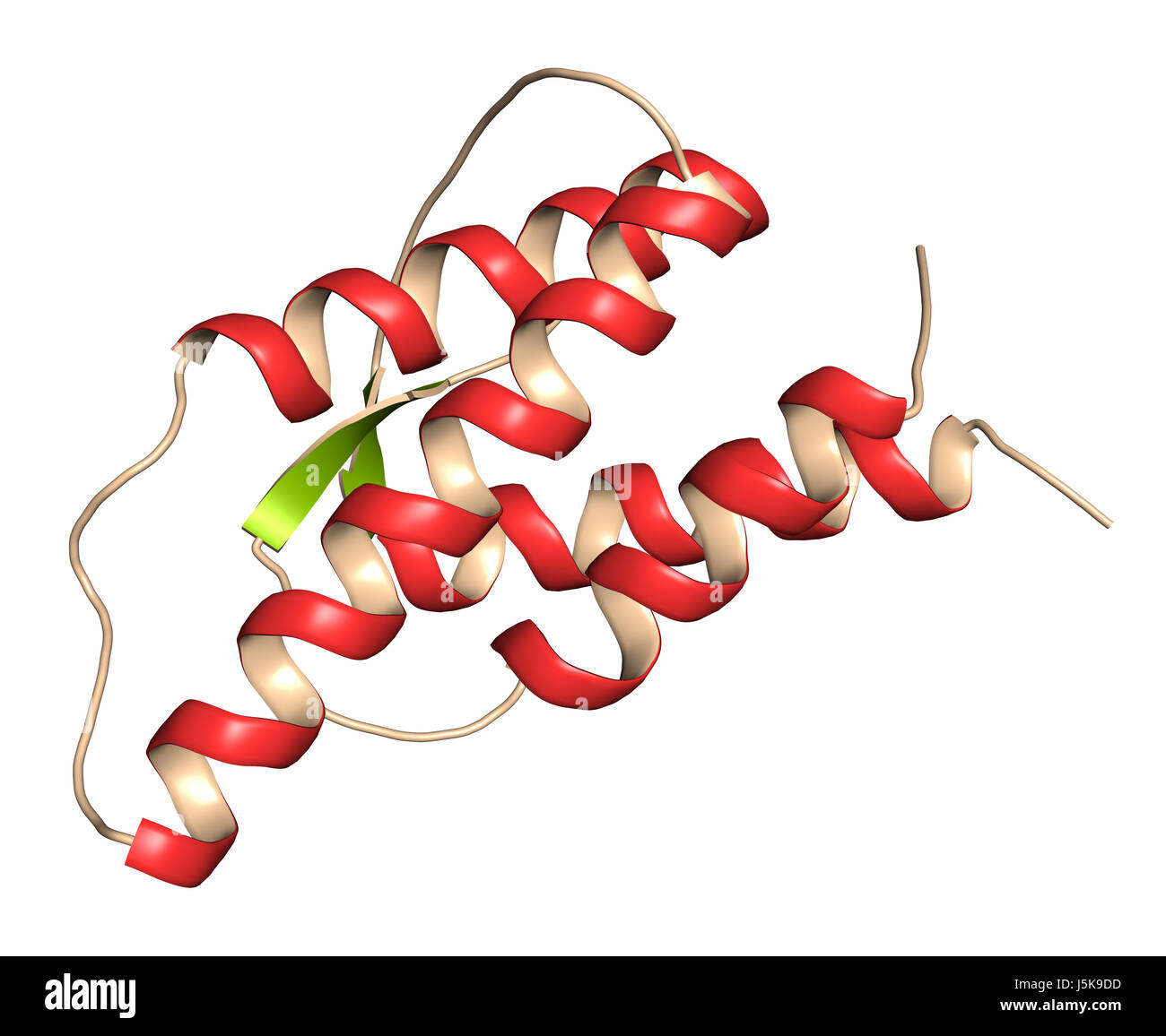 Interleukin 4 hi-res stock photography and images - Alamy