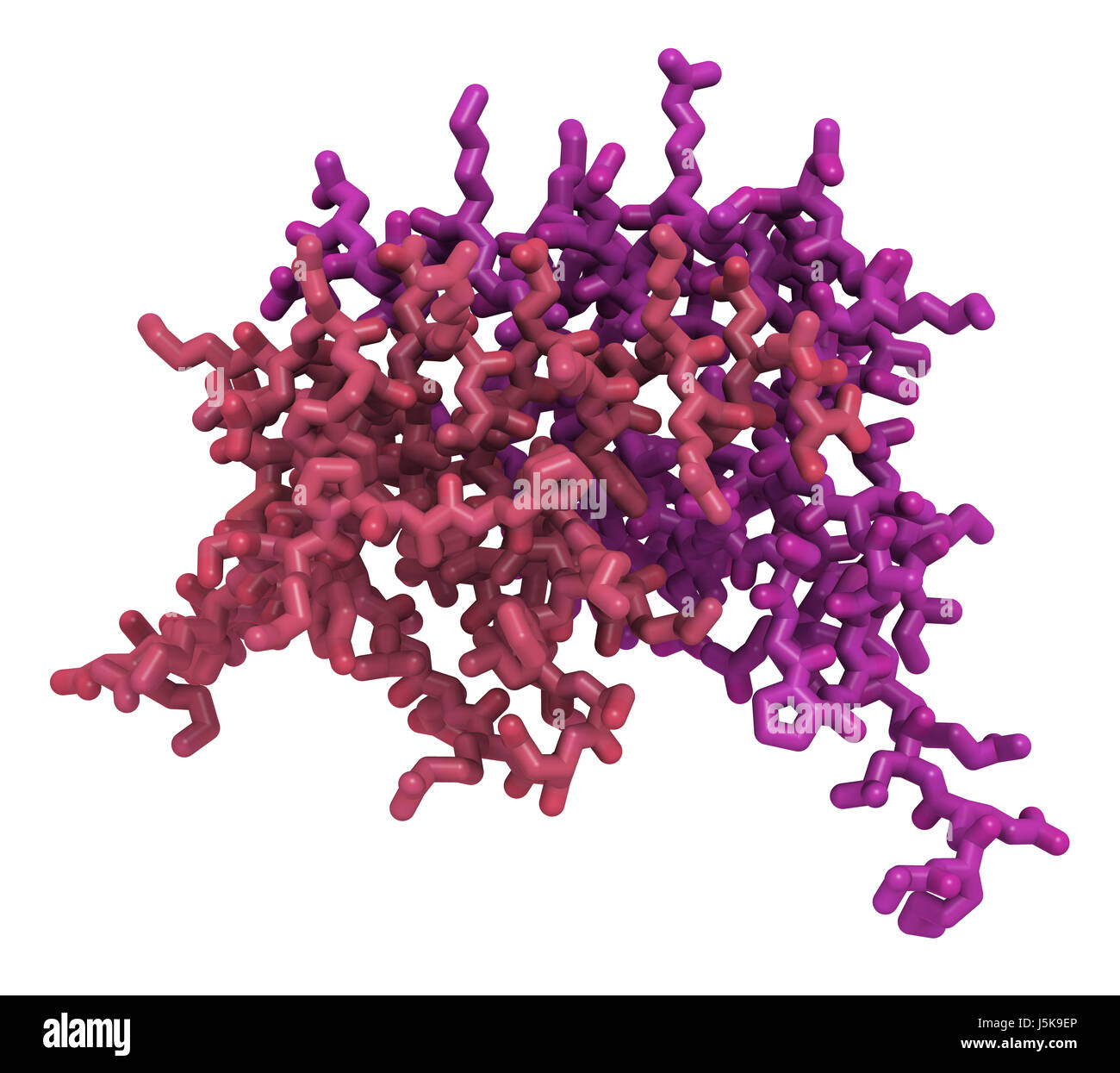 Chemotaxis hi-res stock photography and images - Alamy