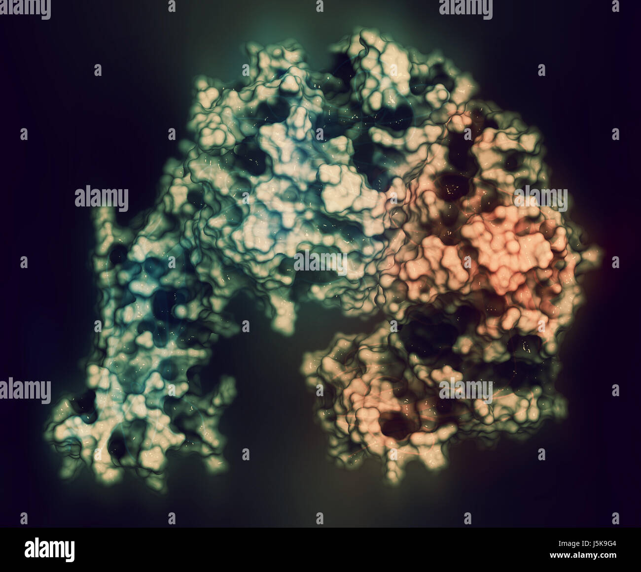 Integrin alpha-4 beta 7 (a4b7, headpiece). Cell surface protein complex ...