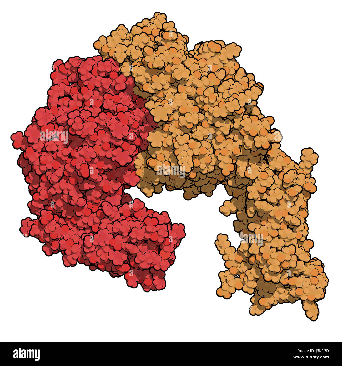 Lpam hi-res stock photography and images - Alamy