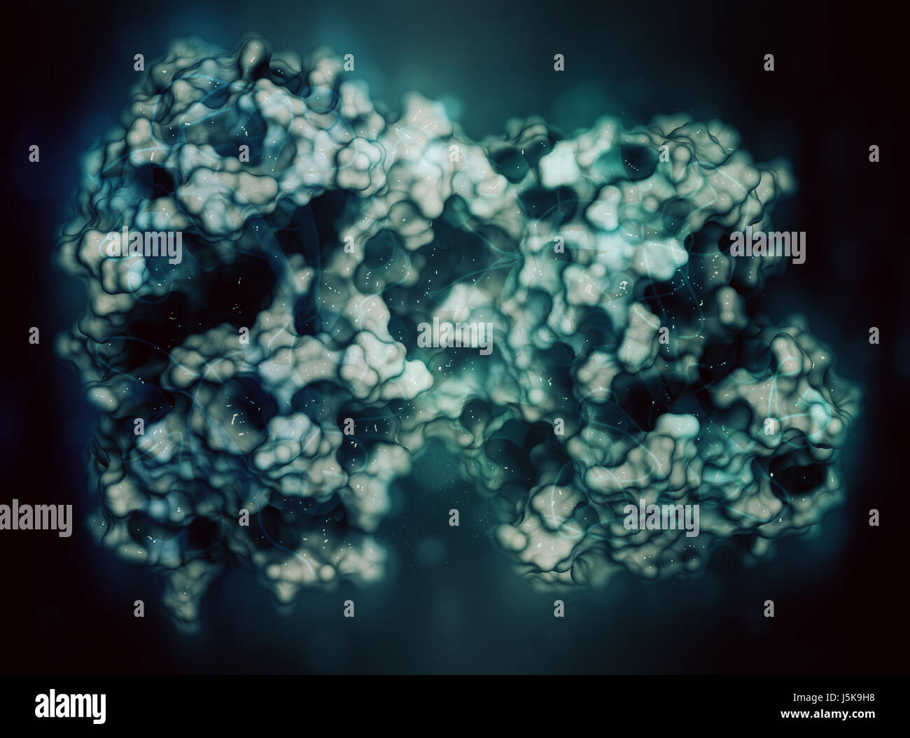 Lactoferrin protein. Lactoferrin is an iron-binding protein that is ...