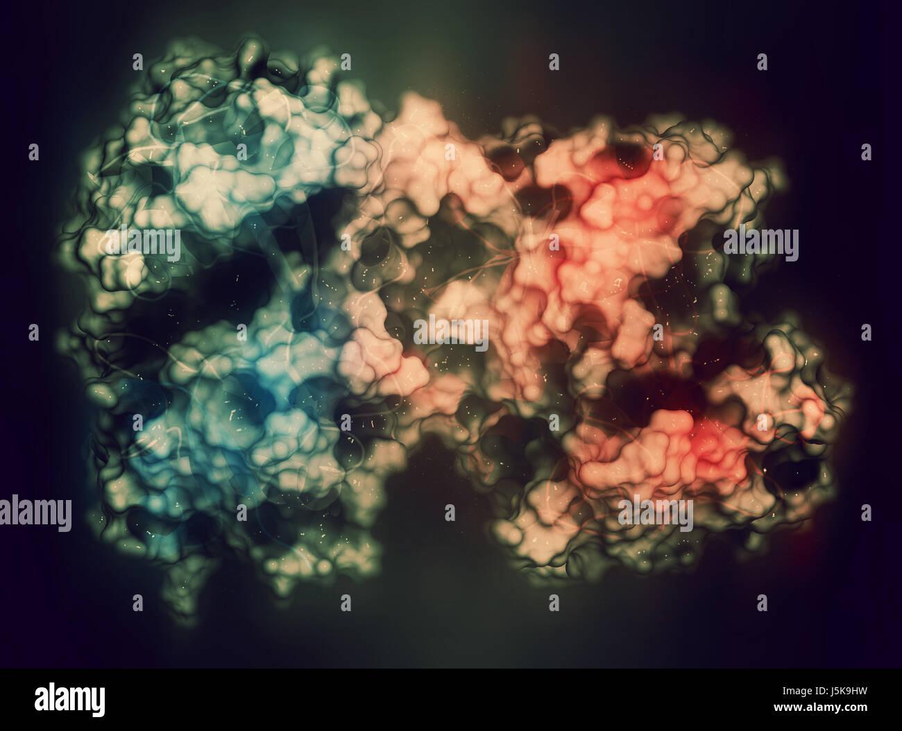 Lactoferrin protein. Lactoferrin is an iron-binding protein that is ...