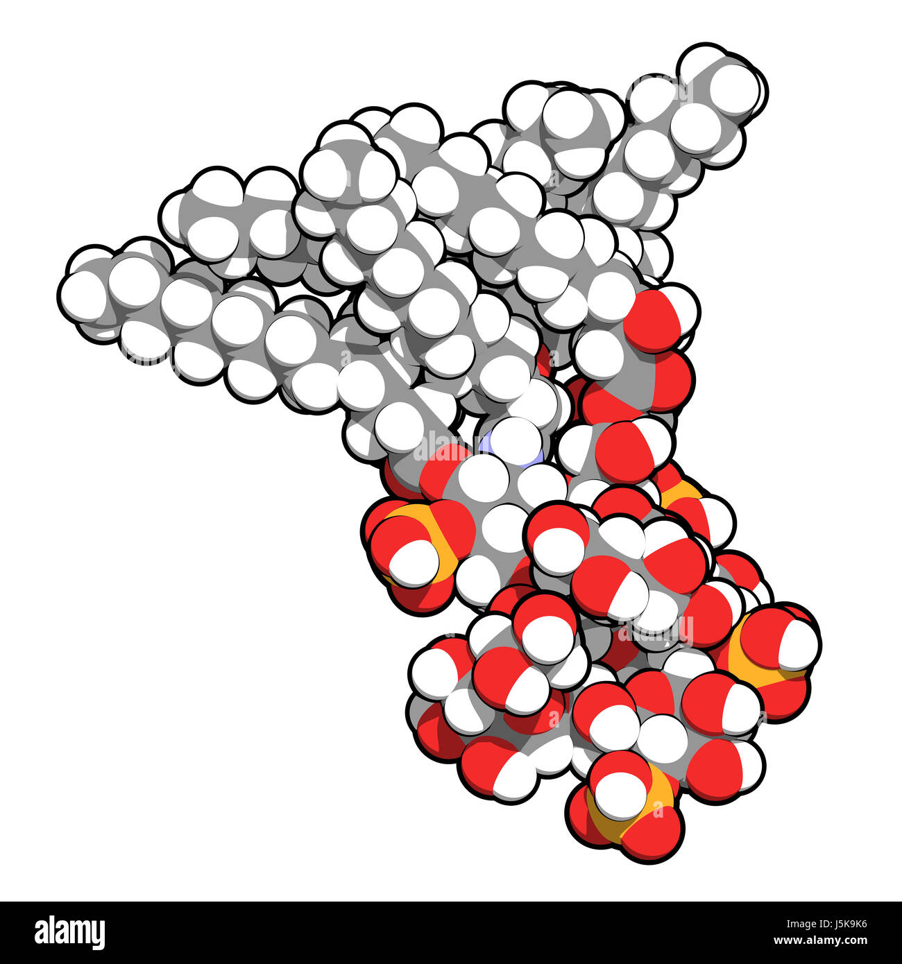 Lipopolysaccharide hi-res stock photography and images - Alamy
