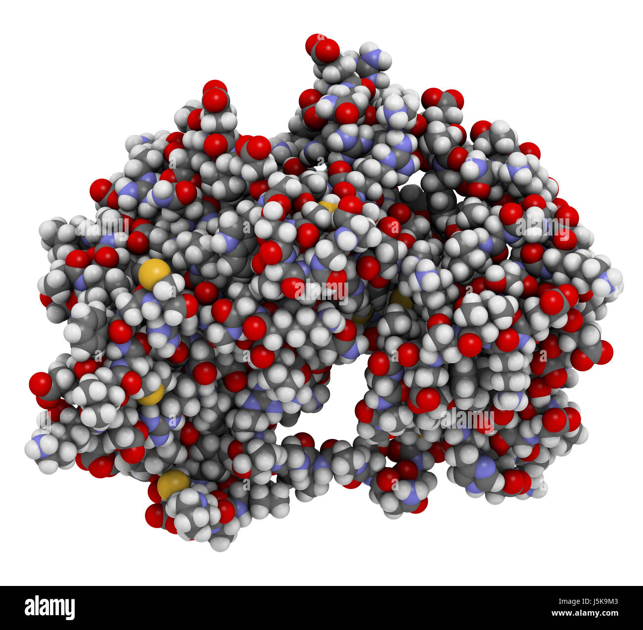 MEK1 or mitogen-activated protein kinase kinase 1 (rabbit) protein. MEK ...