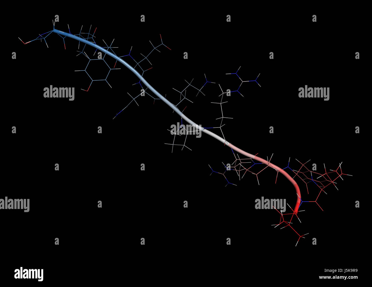 Neurotensin neurotransmitter peptide (Q1E mutated). 3D rendering based ... Neurotensin neurotransmitter peptide (Q1E mutated). 3D rendering based ...