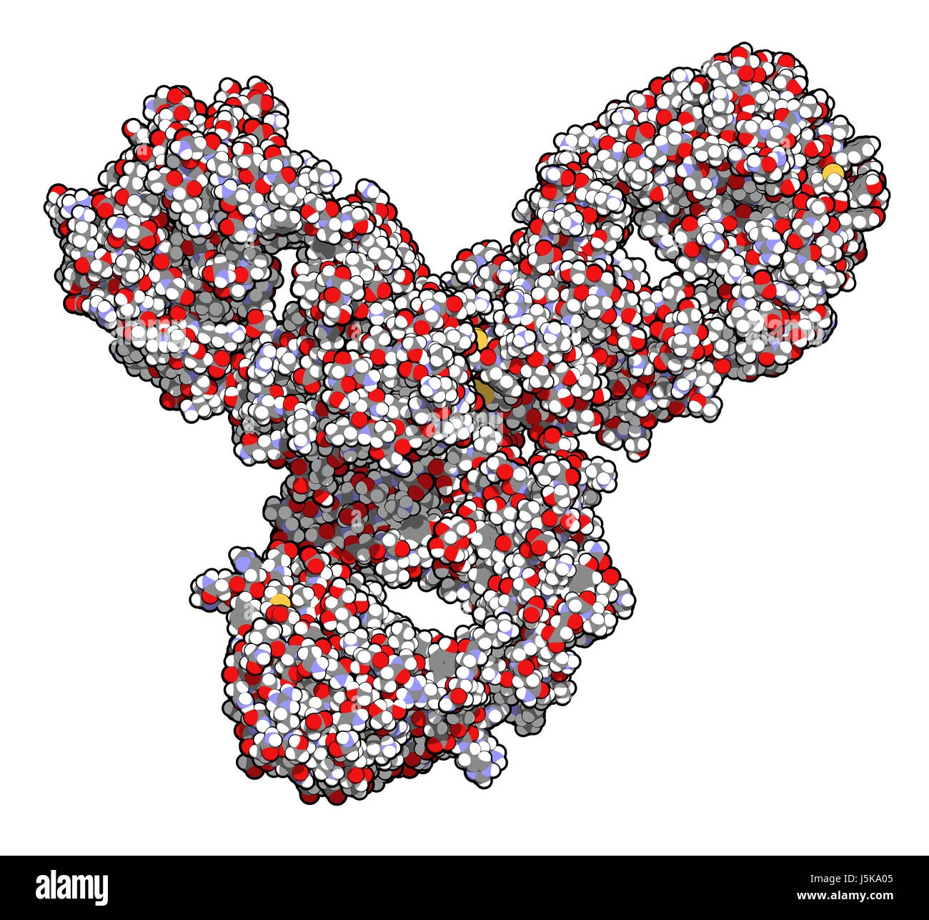 Antibody Structure 3d