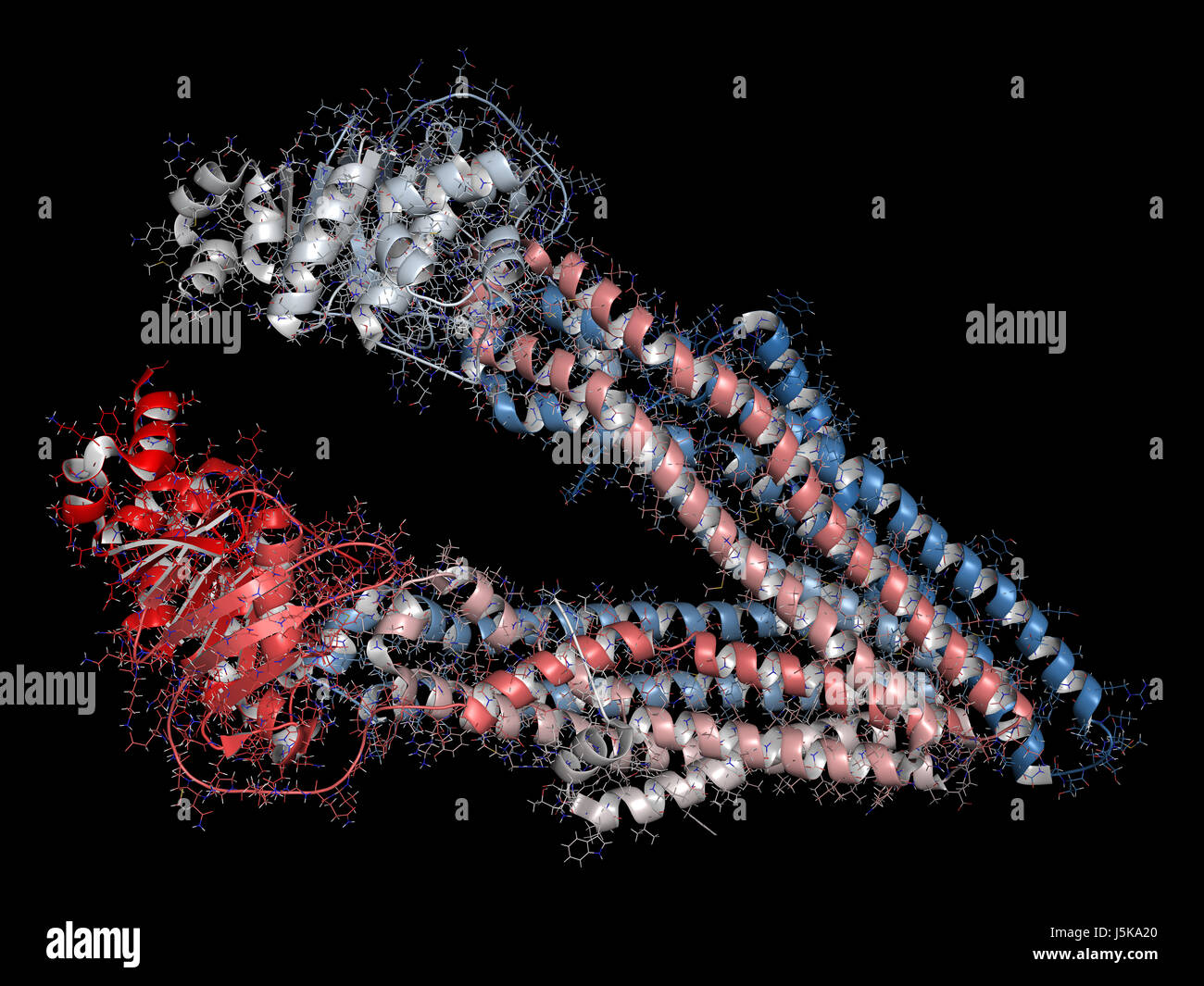 Membrane transporter hi-res stock photography and images - Alamy
